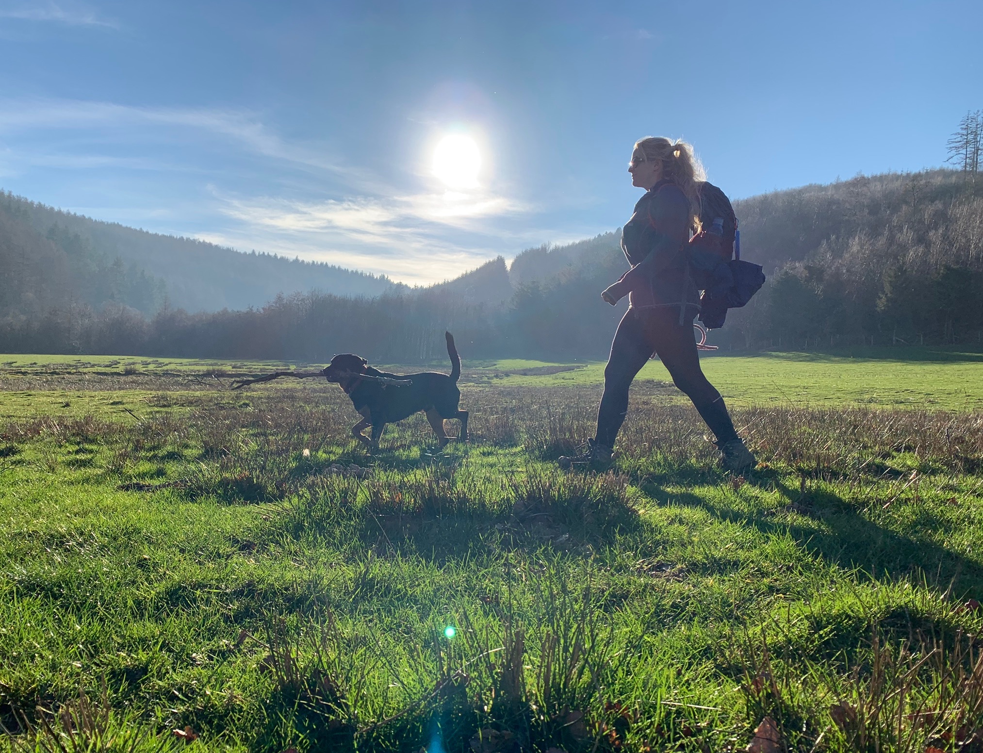 New Paws in Nature Website Launched - Paws in Nature